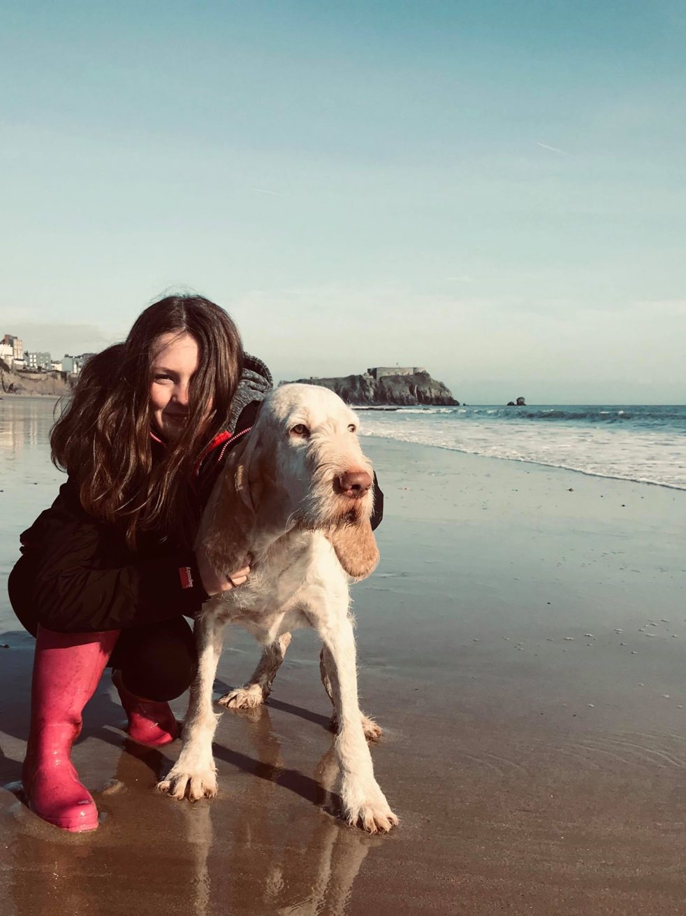 Rescue Spinoni and Children – Spinone Overseas For Adoption
